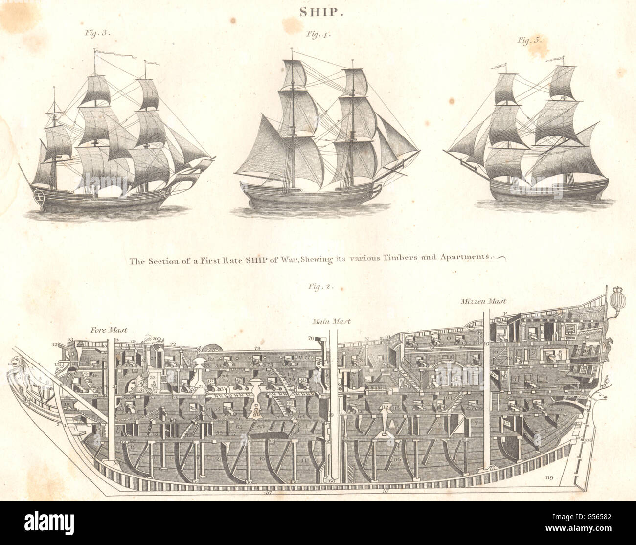 SHIPS: Section of a first rate Ship of War, Showing timbers and ...