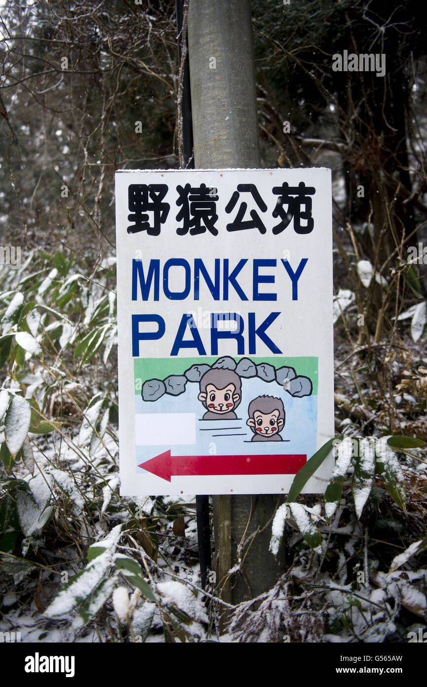 Japanese Macaque (Macaca fuscata) 'Monkey Park' entrance sign ...
