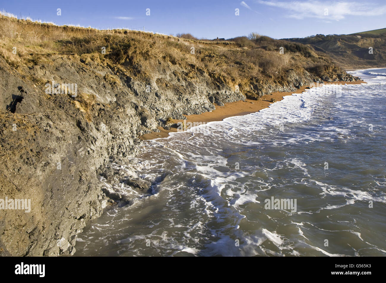Surf eroding Kimmeridge clay low cliffs at high tide, Ringstead Bay ...