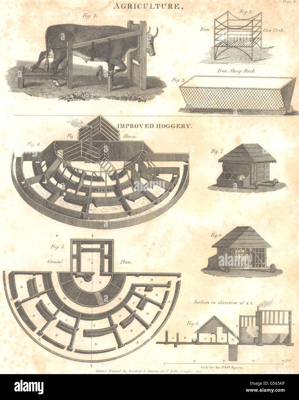 Iron sheep hi-res stock photography and images - Alamy