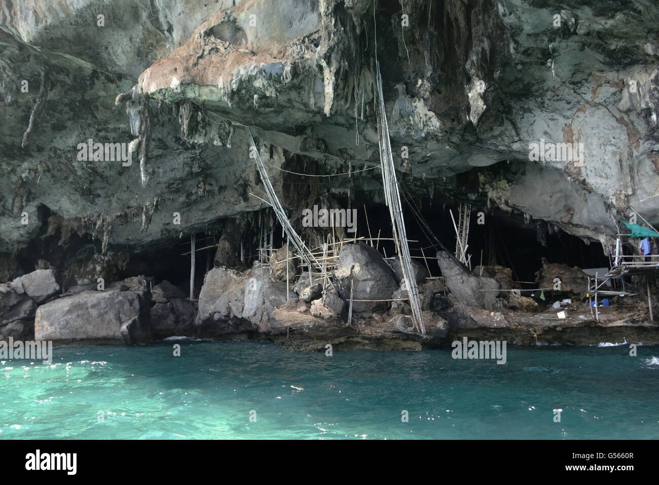 Cave with equipment for harvesting nests of edible-nest swiftlets, Koh ...