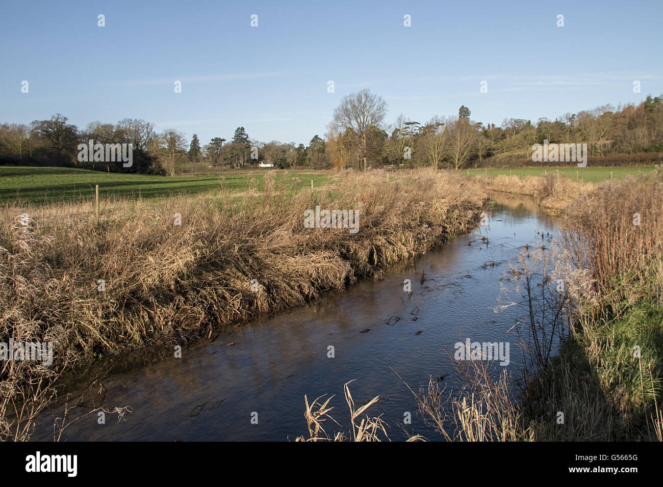 Starston norfolk hi-res stock photography and images - Alamy