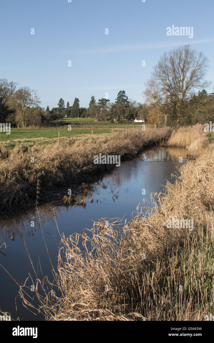Starston norfolk hi-res stock photography and images - Alamy