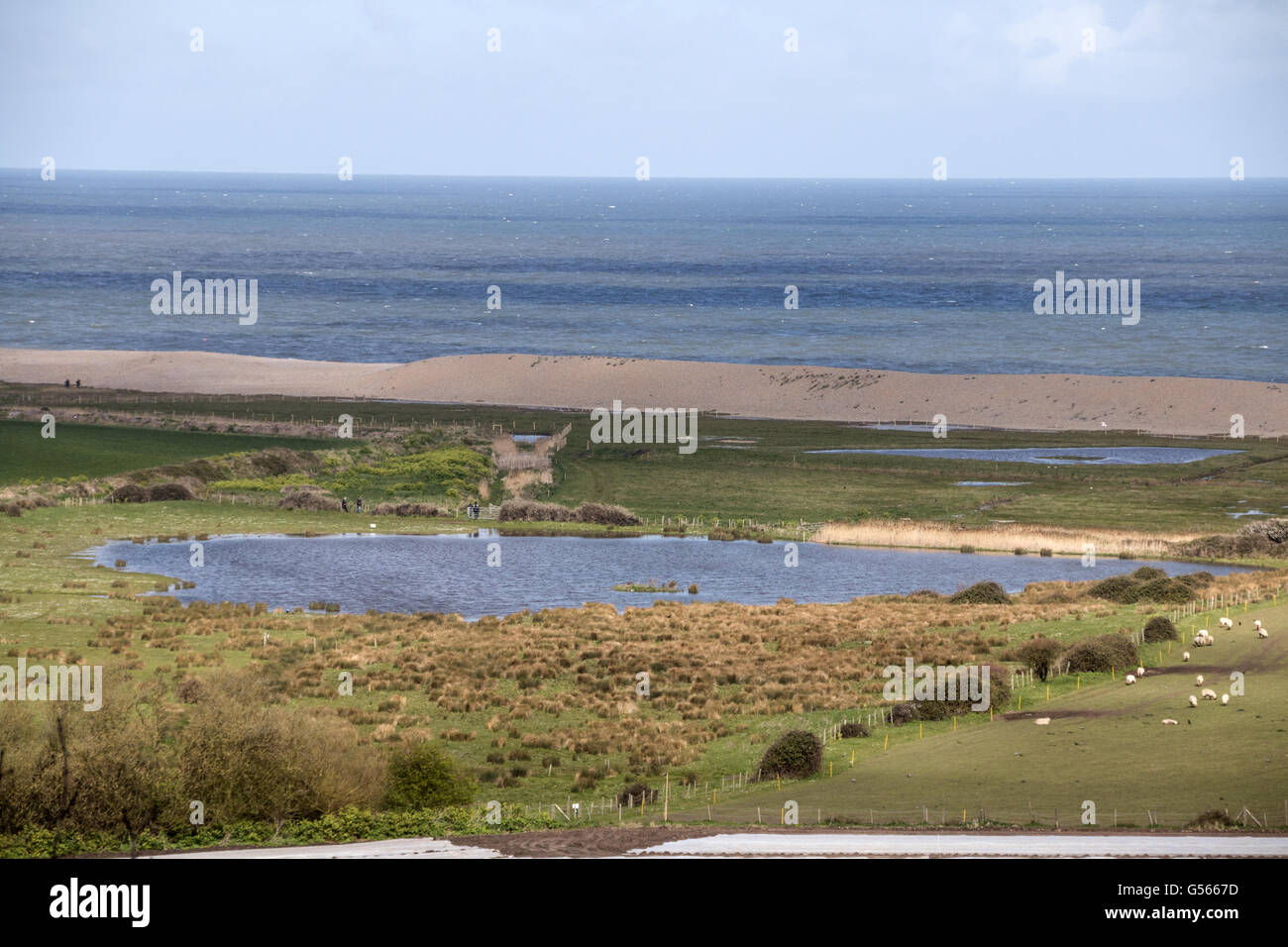The Quag at Kelling, Peddars Way Norfolk. This patch of water is often ...