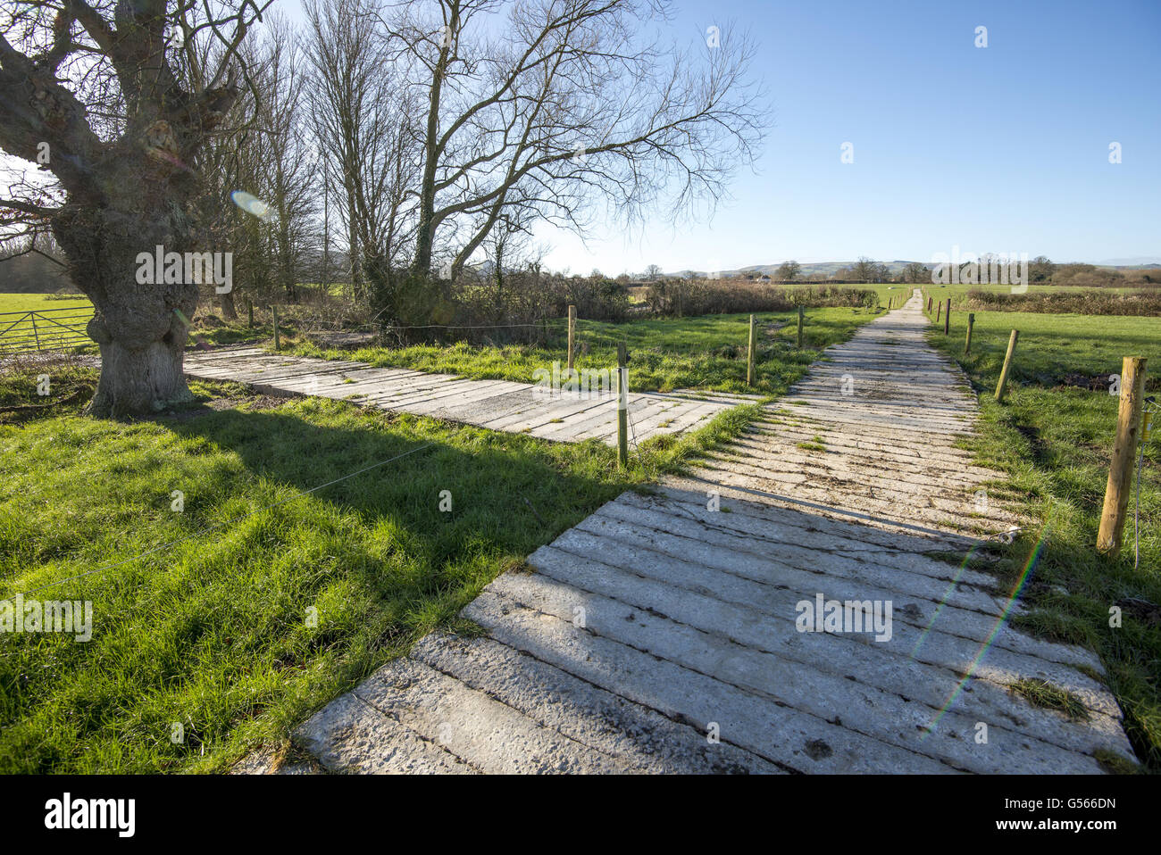 Cow tracks hi-res stock photography and images - Alamy