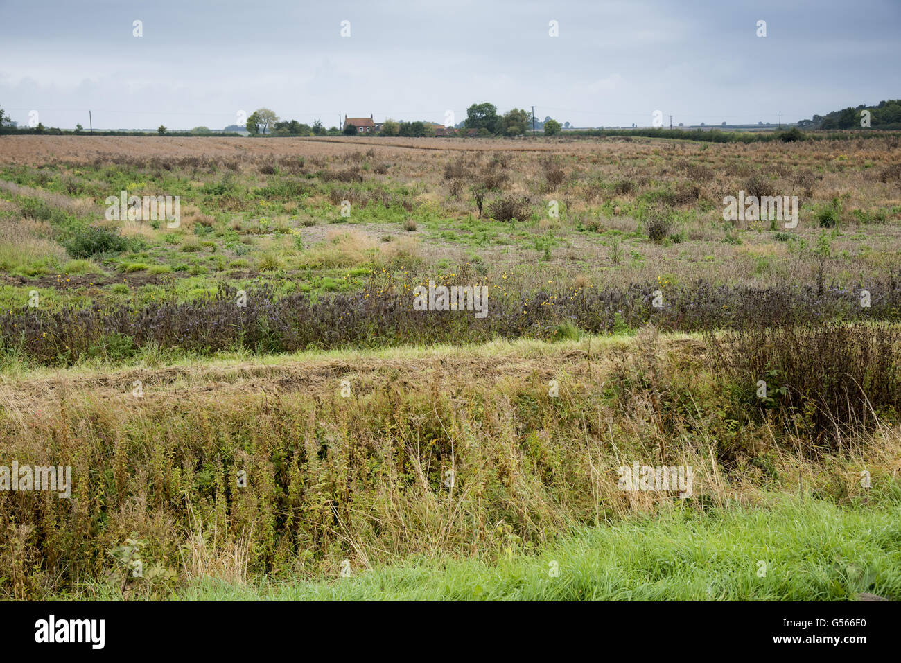 Driffield yorkshire fields hi-res stock photography and images - Alamy