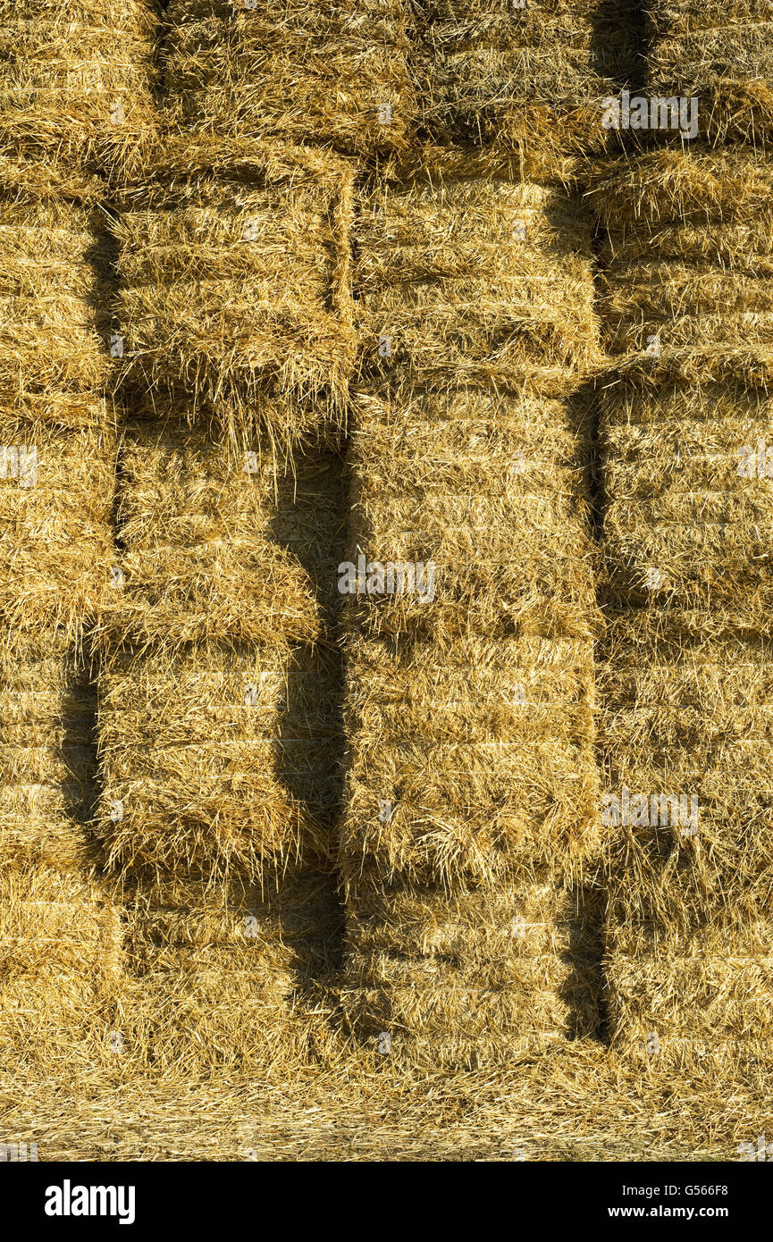 Big bale straw stack, Sweden, October Stock Photo - Alamy