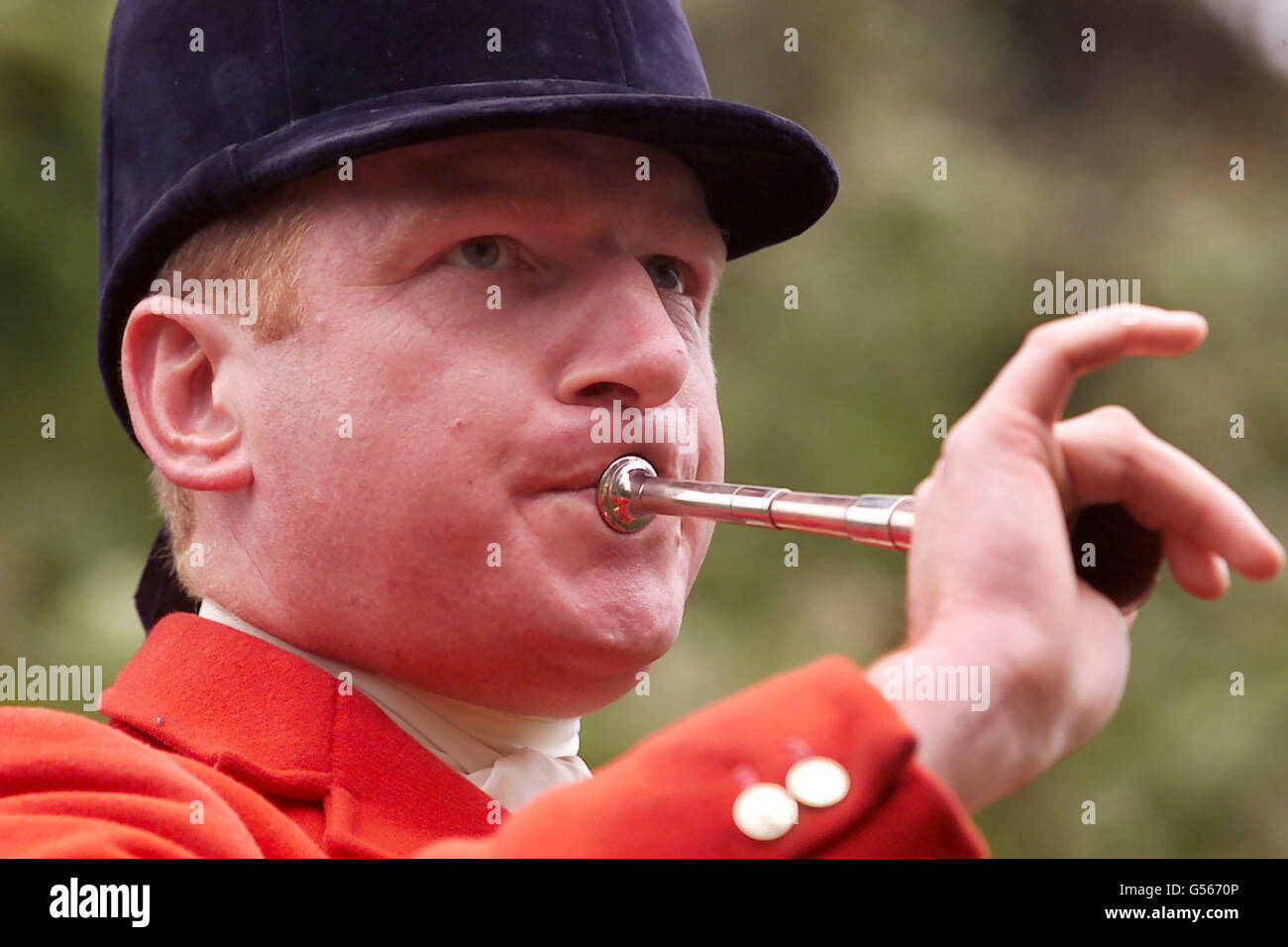 Hunt Master Blowing Bugle High Resolution Stock Photography and Images ...