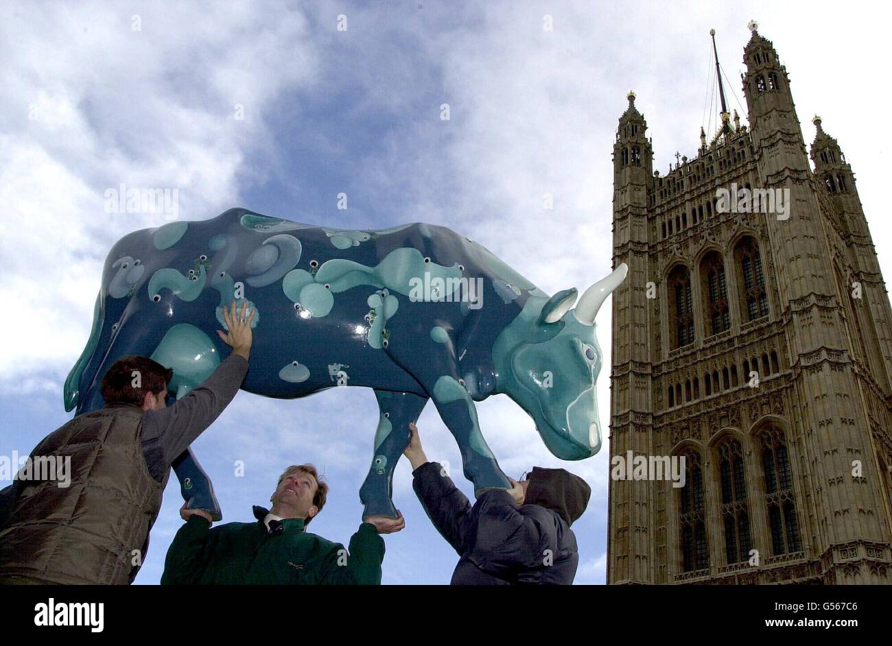 A decorated cow is carried past the Houses of Parliament in central ...