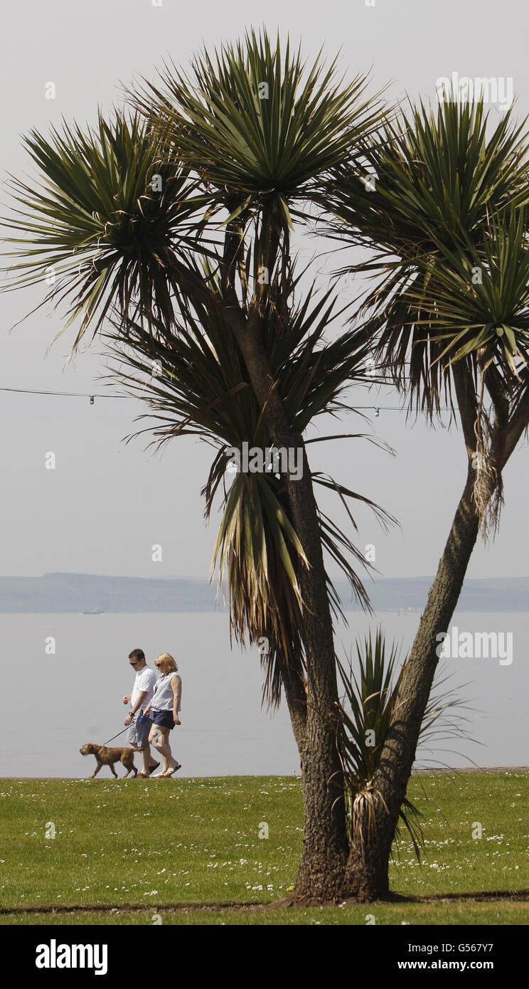 A couple walk a dog during the the warm May weather in Largs, Scotland ...