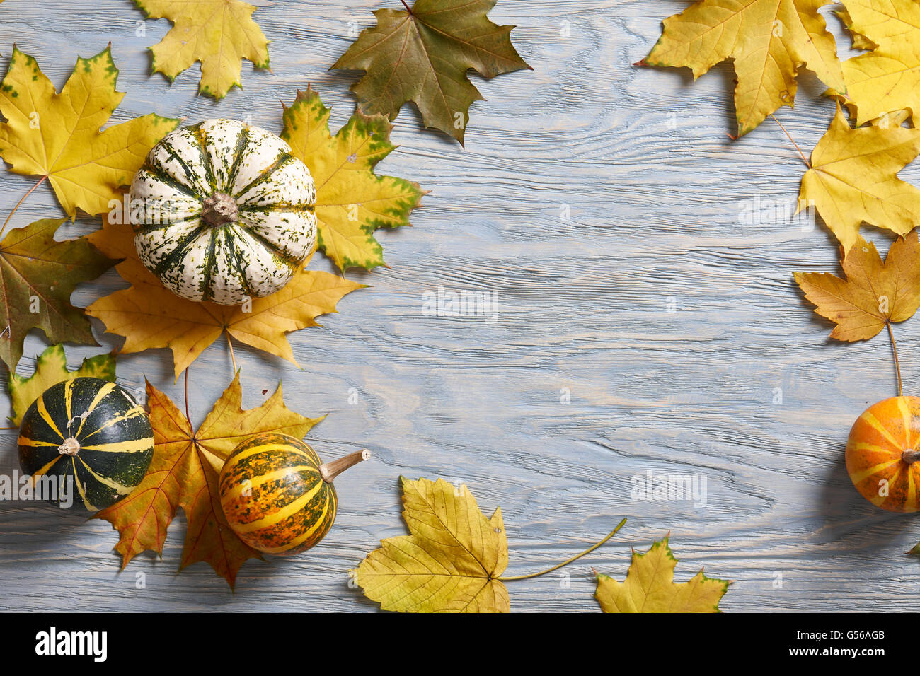 Blue pumpkin hi-res stock photography and images - Alamy