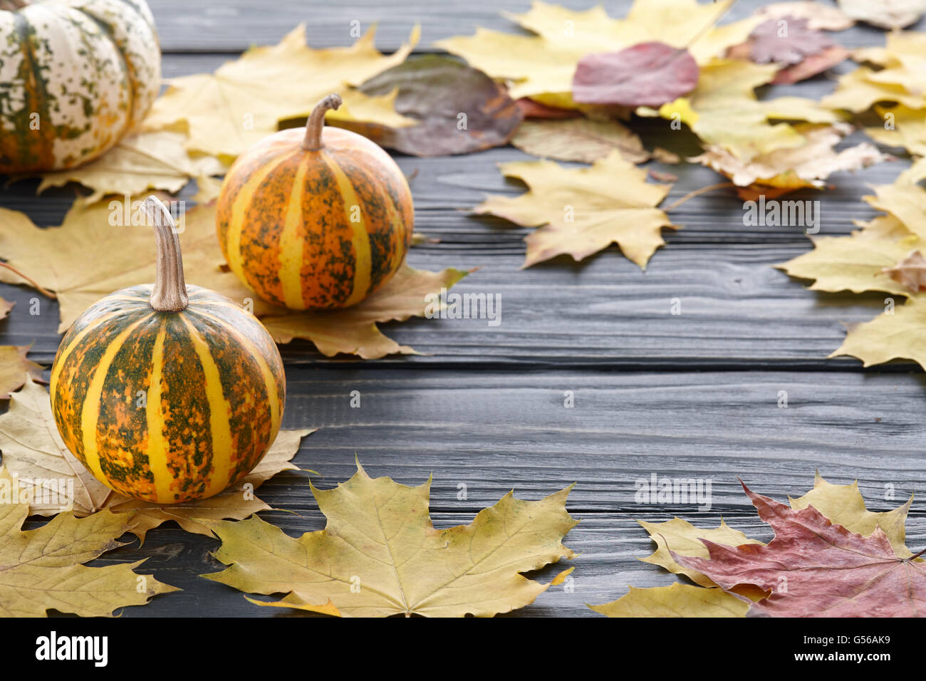 Autumn background with pumpkins and leaves Stock Photo - Alamy