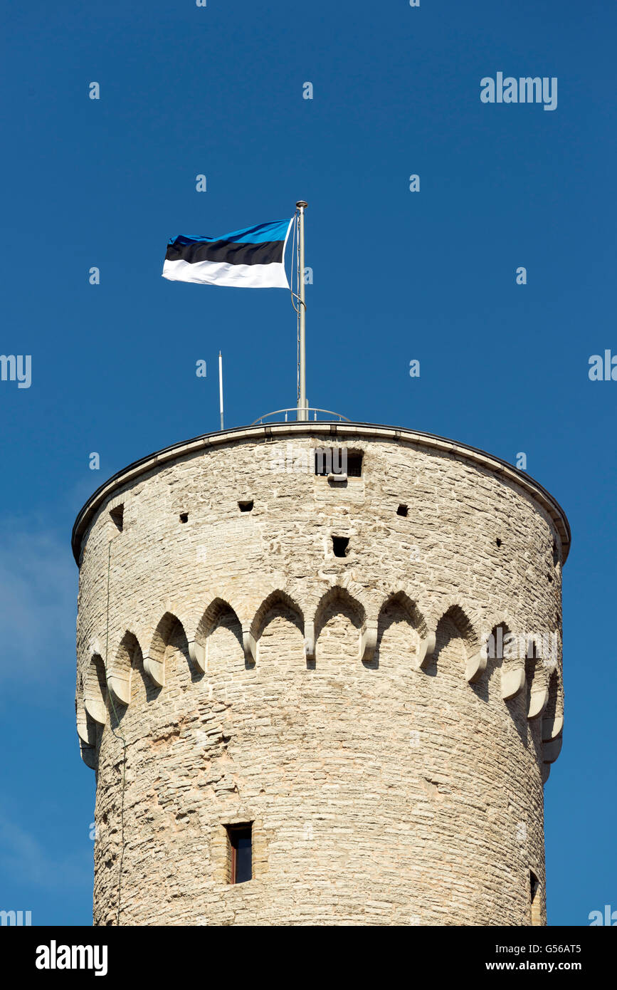 Tallinn flag hi-res stock photography and images - Alamy