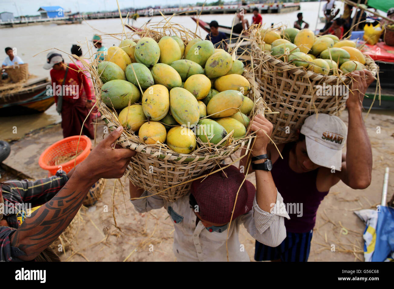 Yangon, Myanmar. 20th June, 2016. Workers carry mangoes at a jetty of ...