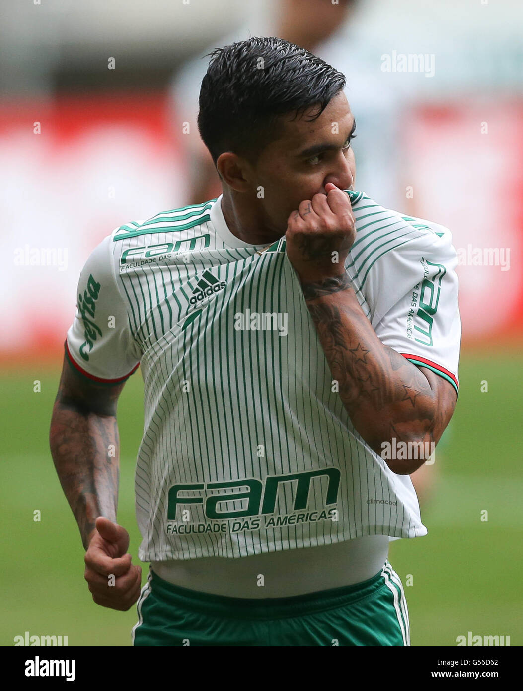 SAO PAULO, Brazil - 06/18/2016: PALM X SANTA CRUZ - Dudu player, SE ...