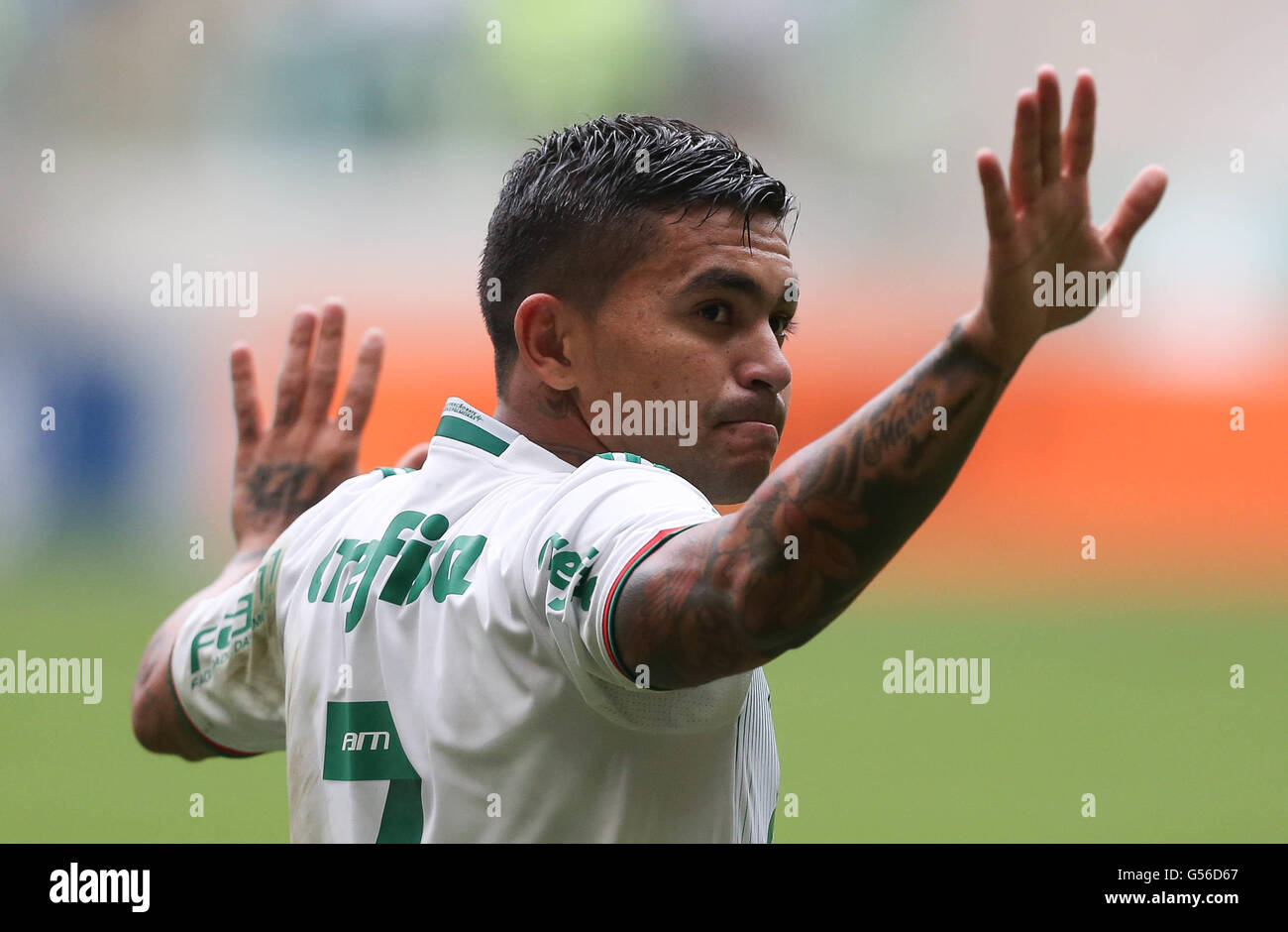 SAO PAULO, Brazil - 06/18/2016: PALM X SANTA CRUZ - Dudu player, SE ...
