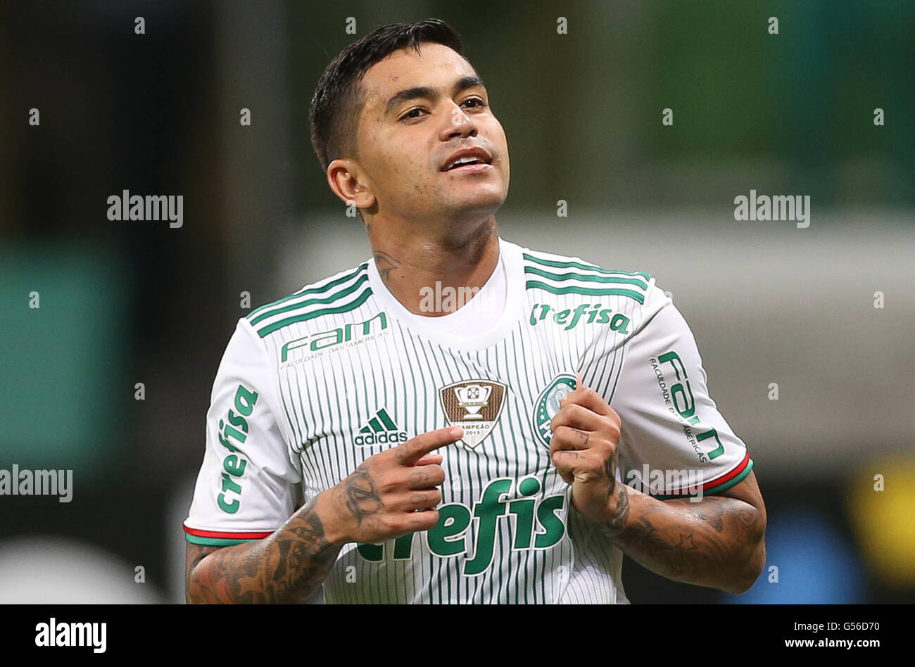 SAO PAULO, Brazil - 06/18/2016: PALM X SANTA CRUZ - Dudu player, SE ...