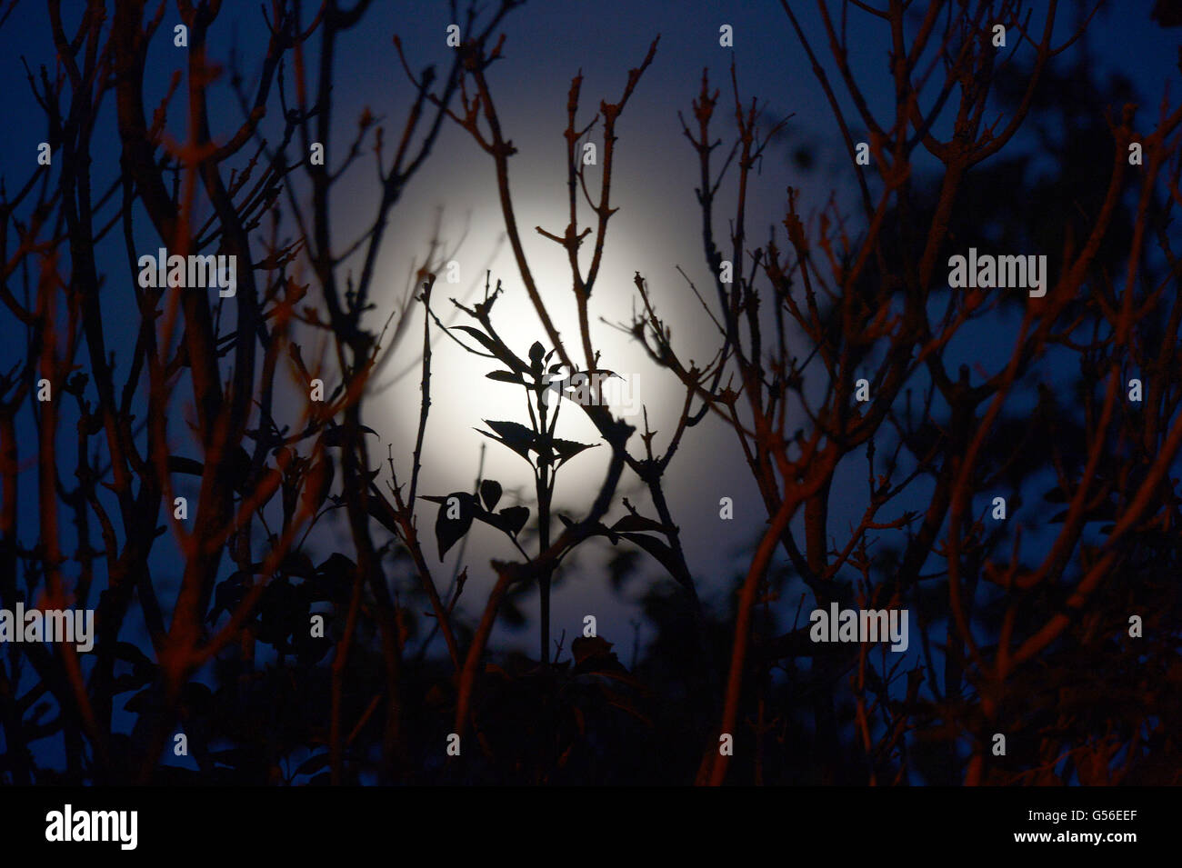 Solstice strawberry moon hi-res stock photography and images - Alamy