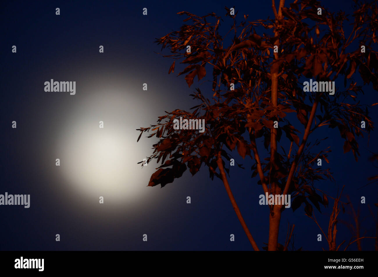 Solstice strawberry moon hi-res stock photography and images - Alamy