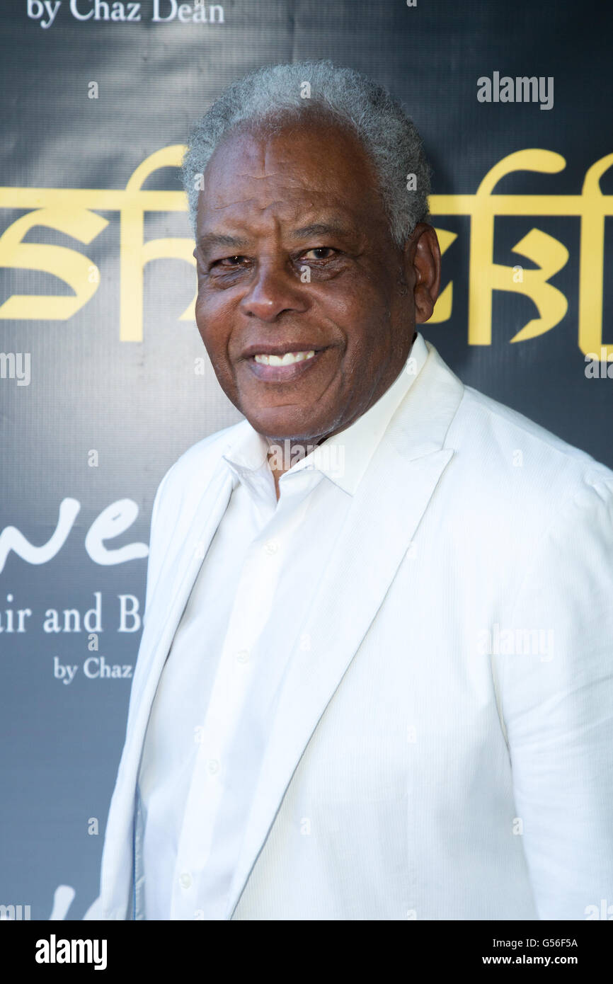 Los Angeles, California, USA. 19th June, 2016. Sy Richardson attends the Los Angeles Special ...