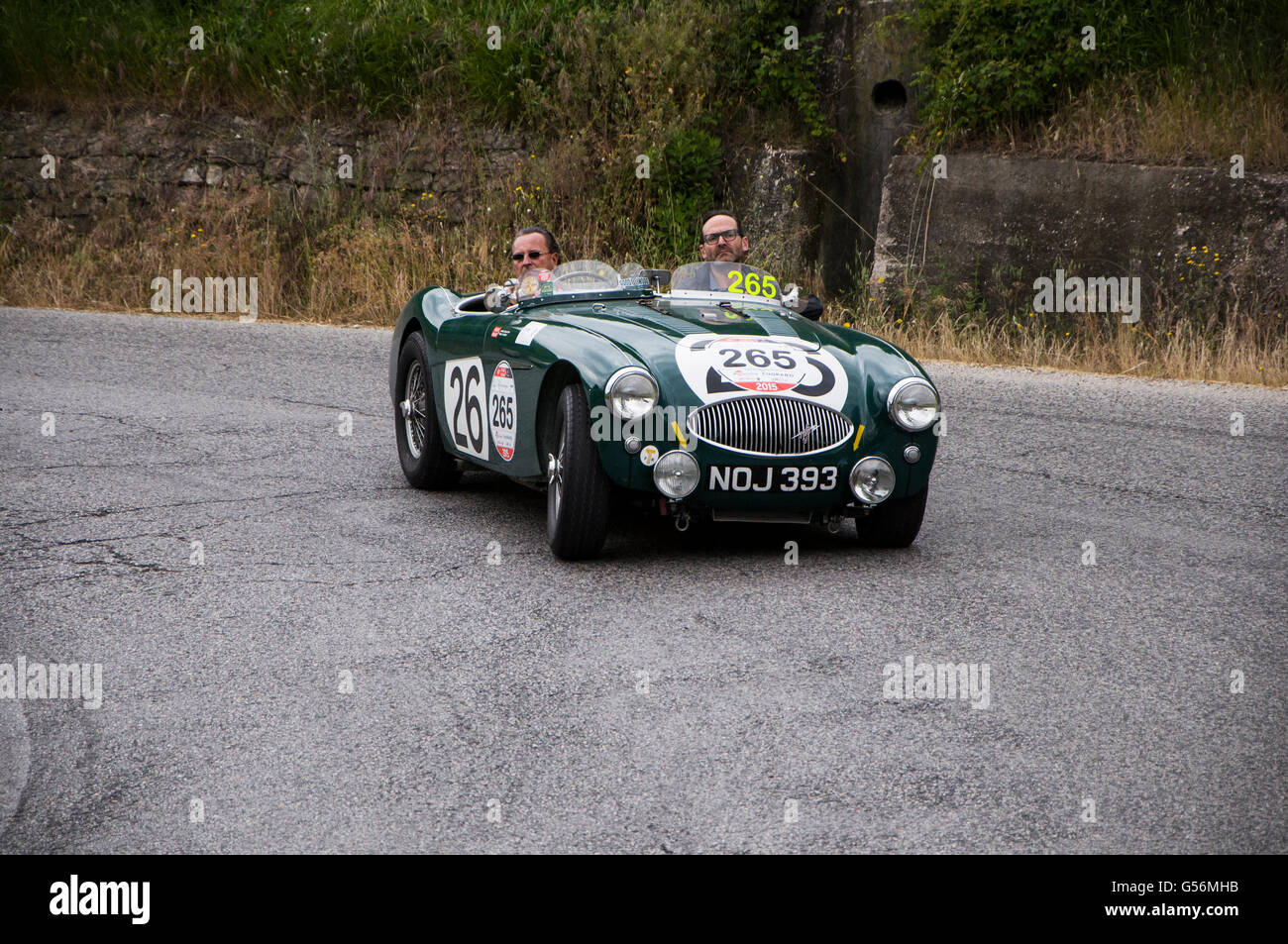 AUSTIN HEALEY 100 S 1953 old racing car in rally Mille Miglia 2015 the ...