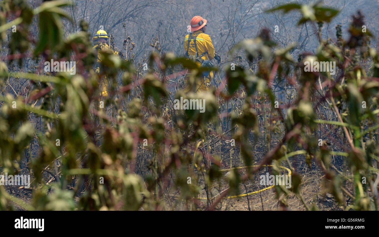 Duarte, California, USA. 21st June, 2016. Los Angeles County ...