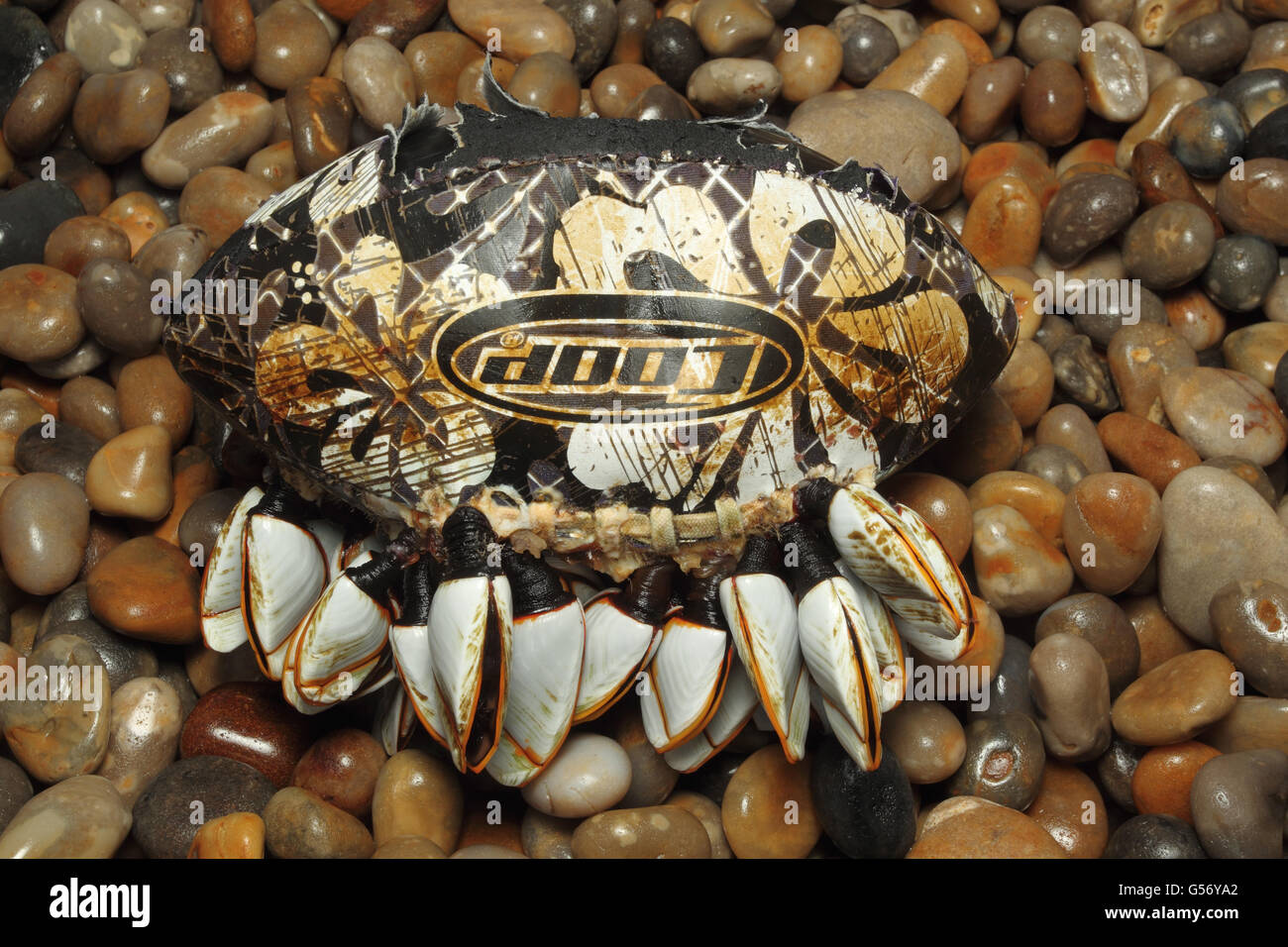 Strandlines hi-res stock photography and images - Alamy