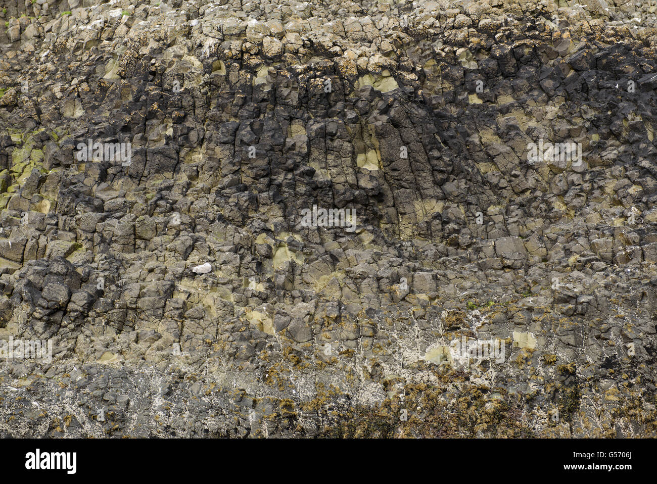Basalt rock exposed at coast, Ballintoy Harbour, County Antrim ...