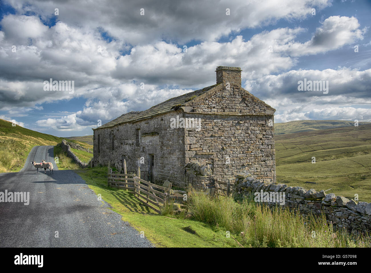 Stone barn, drystone walls and sheep standing on road, near Keld ...