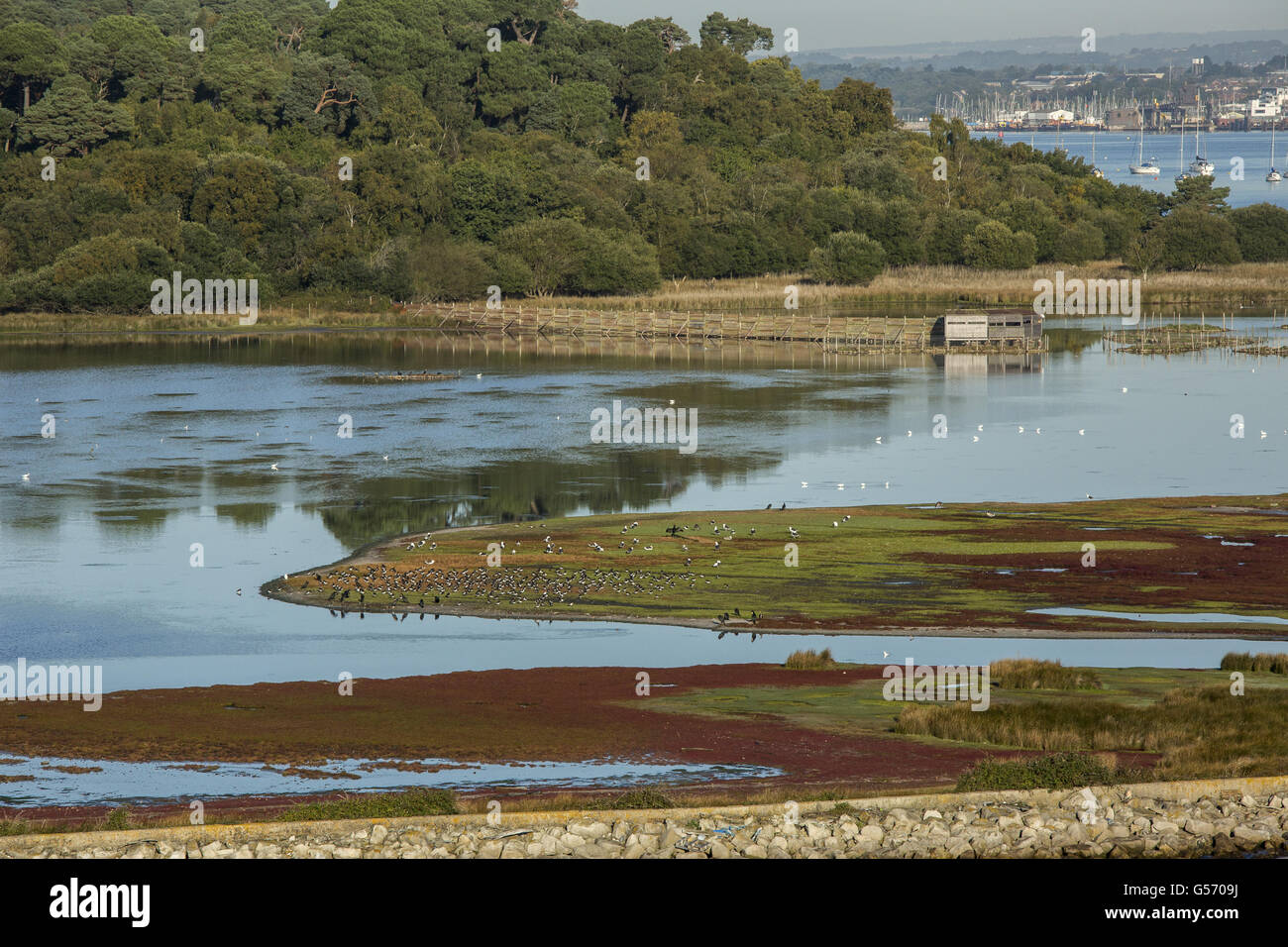 Harbour lagoons hi-res stock photography and images - Alamy