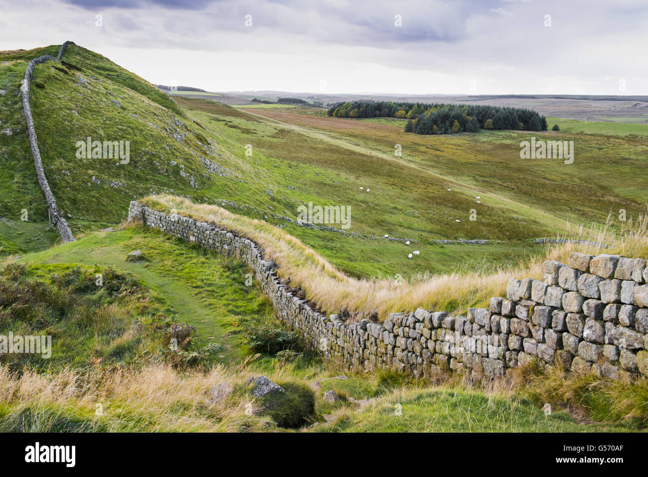 Remains of Roman fortifications on moorland, looking west towards Fore ...