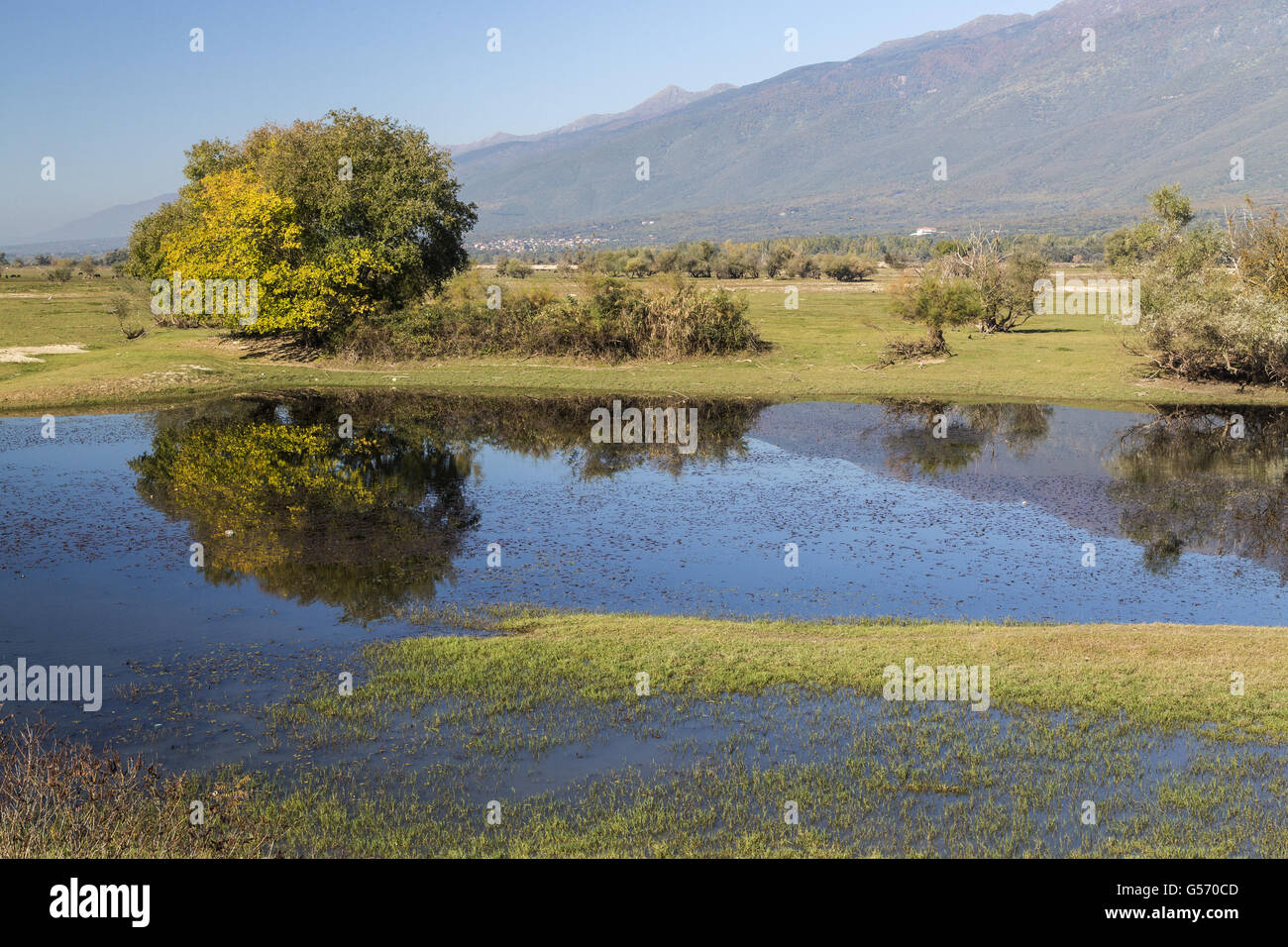 Drawdown area exposed in dry periods, Lake Kerkini, Macedonia, Greece ...