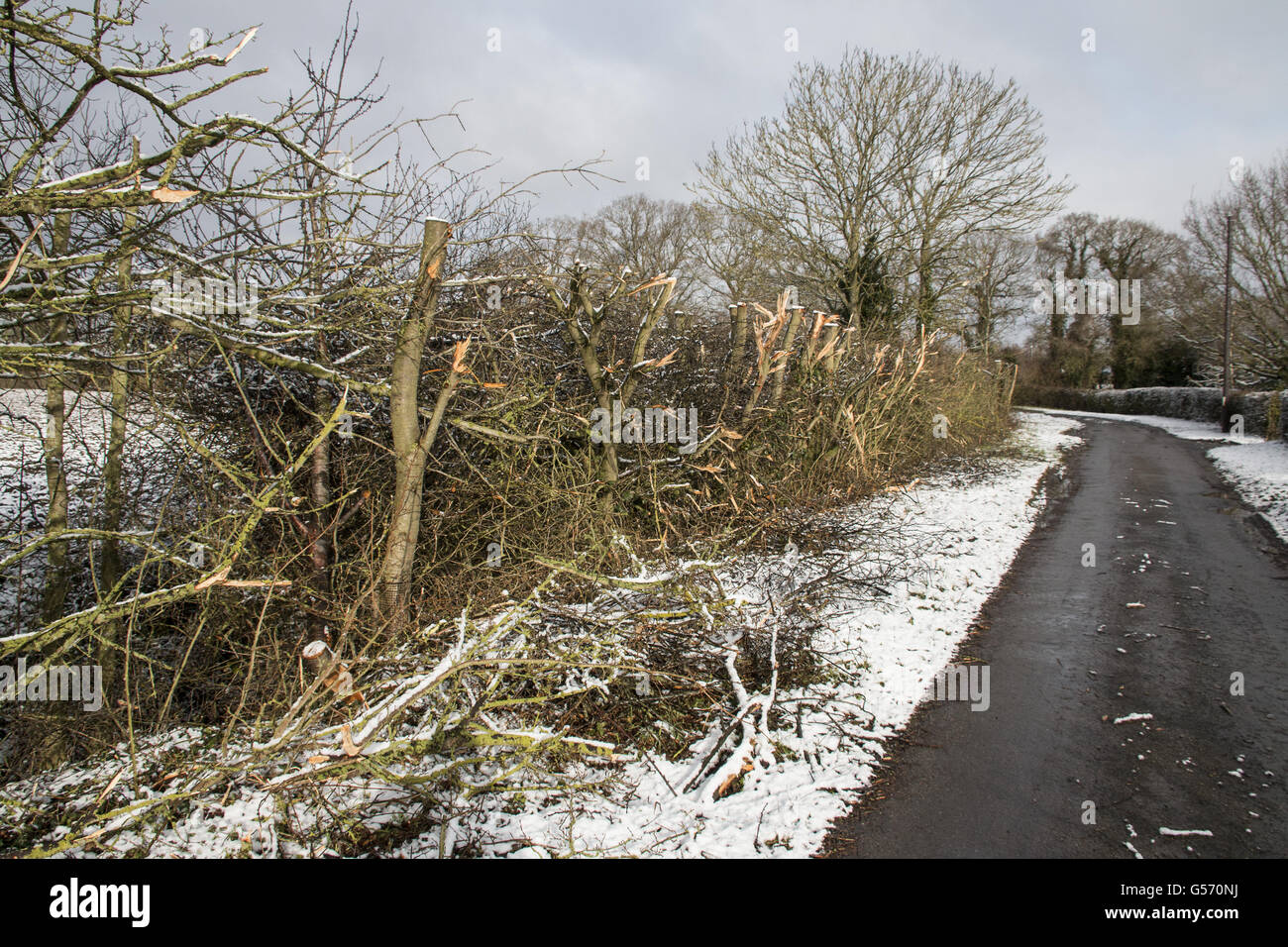 Badly cut hi-res stock photography and images - Alamy