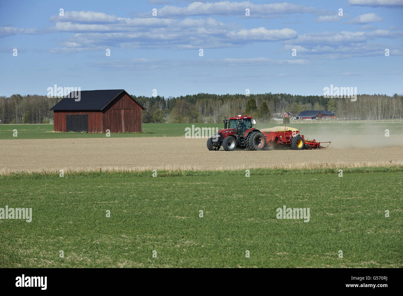 Case MXU 135 tractor with Overum seed drill, drilling arable field ...