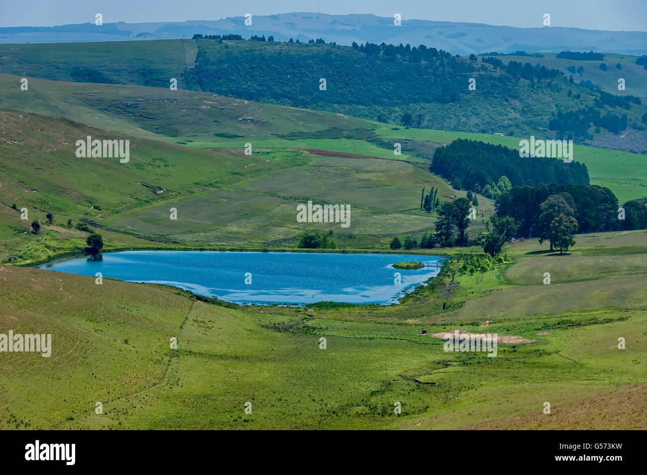 Pond in KwaZulu-Natal nature reserve, Drakensberg South Africa Stock ...