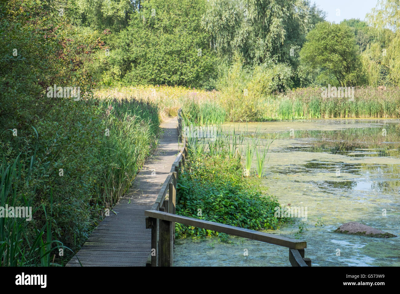A country walk passing over a wooden walkway over water wiyh a handrail ...