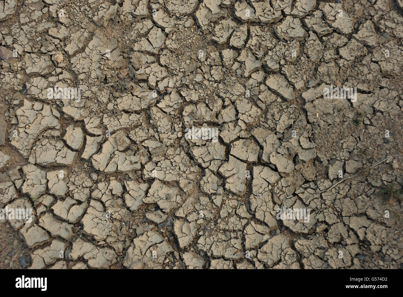 Desiccated mud hi-res stock photography and images - Alamy