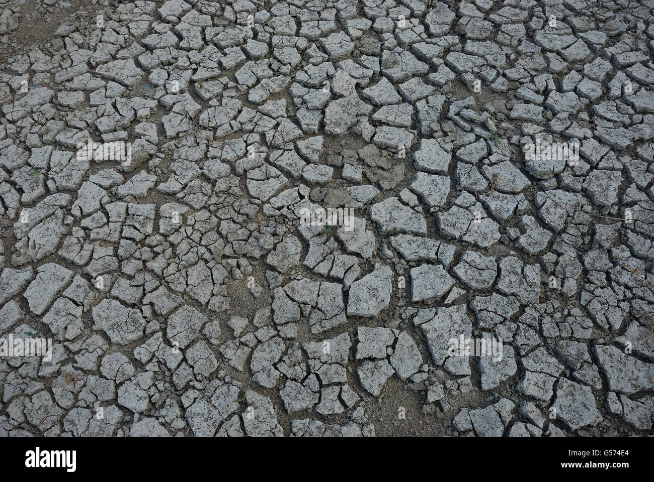 Desiccated land hi-res stock photography and images - Alamy