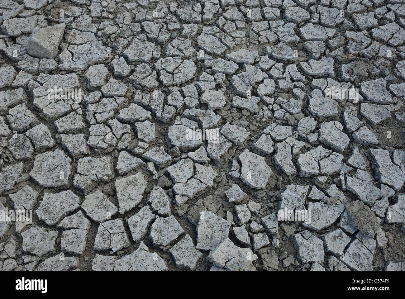 Desiccated land hi-res stock photography and images - Alamy