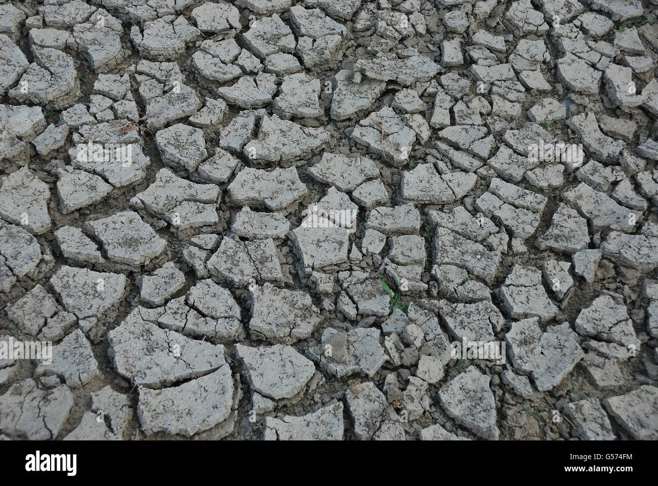 Desiccated land hi-res stock photography and images - Alamy