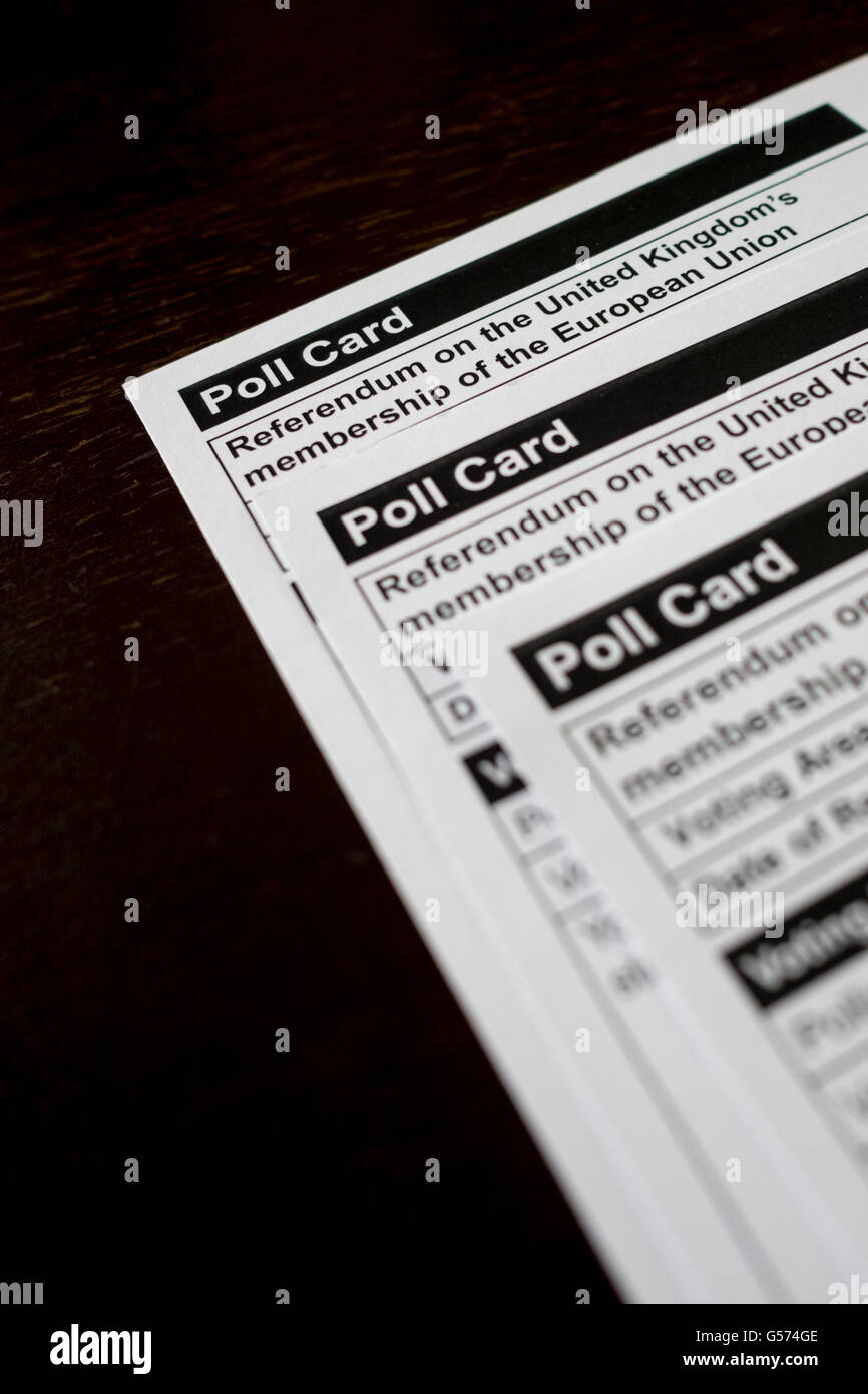 How to vote cards hi-res stock photography and images - Alamy