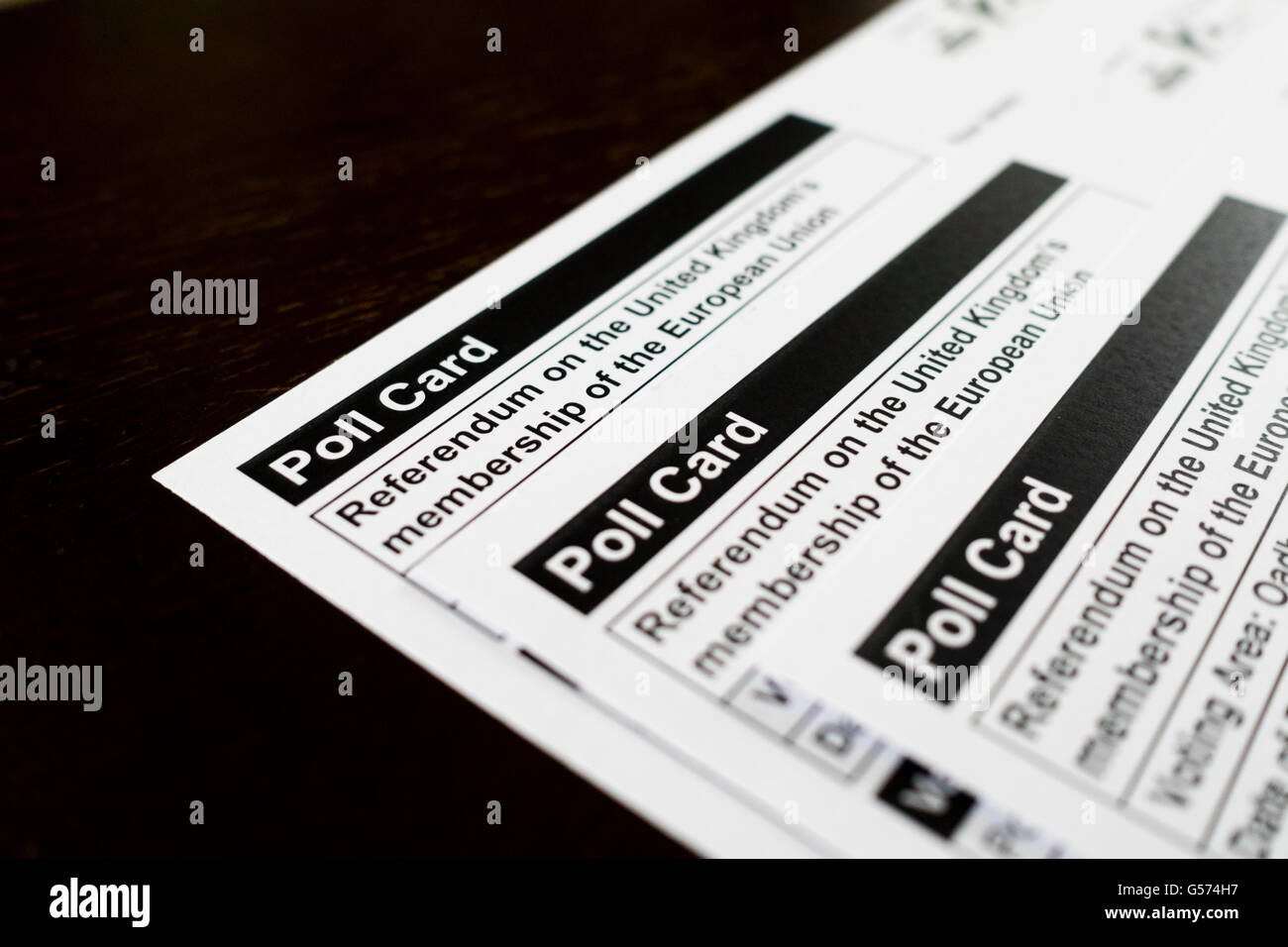 How to vote cards hi-res stock photography and images - Alamy