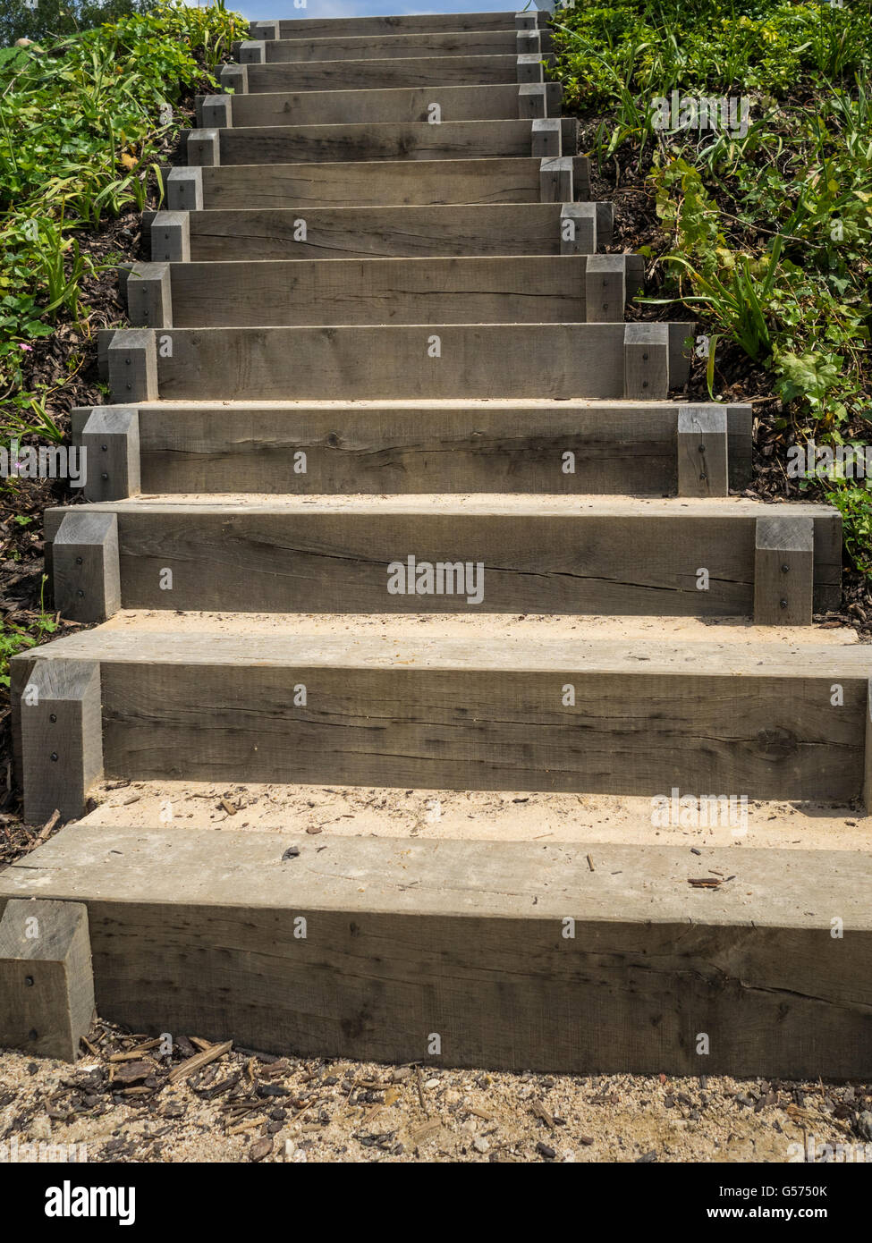 Ascending steps hi-res stock photography and images - Alamy