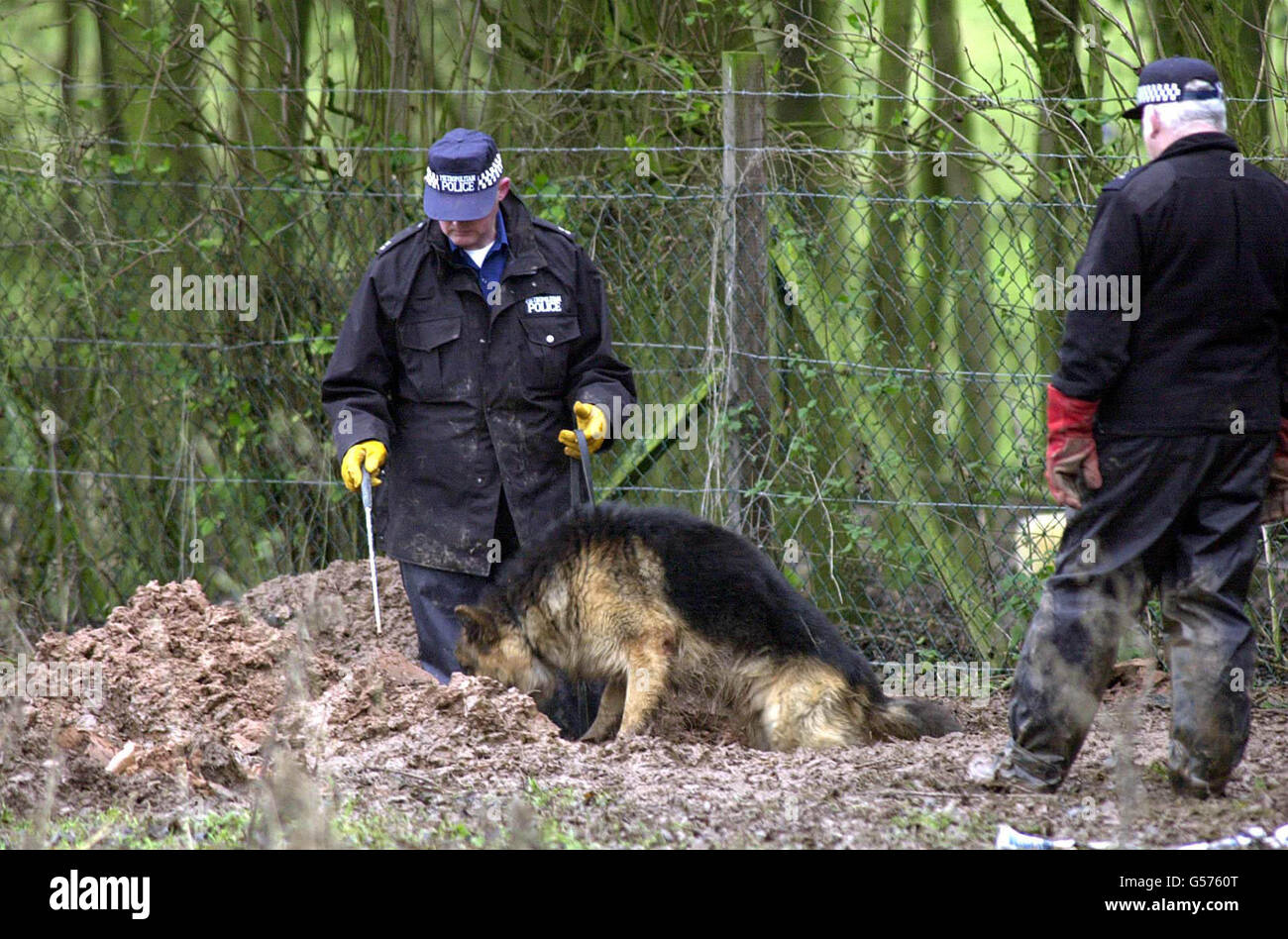 Metropolitan Police Officers use sniffer dogs in their search of ...
