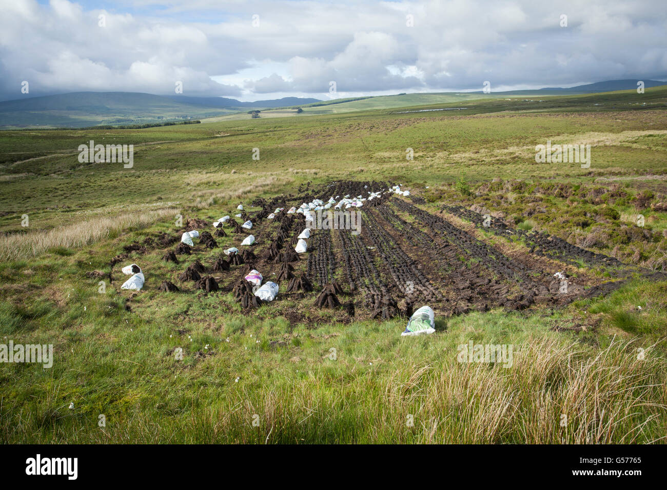 Peat cutting machine hi-res stock photography and images - Alamy