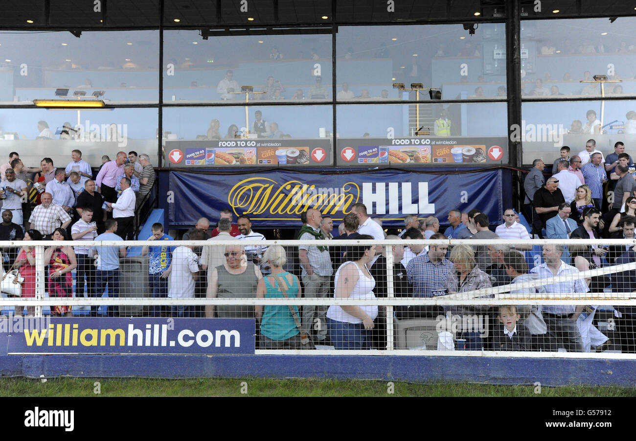 Greyhounds - Williamhill.com Greyhound Derby Final - Wimbledon ...