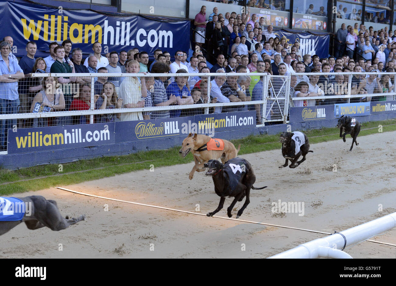 Race action form wimbledon greyhound stadium hi-res stock photography ...