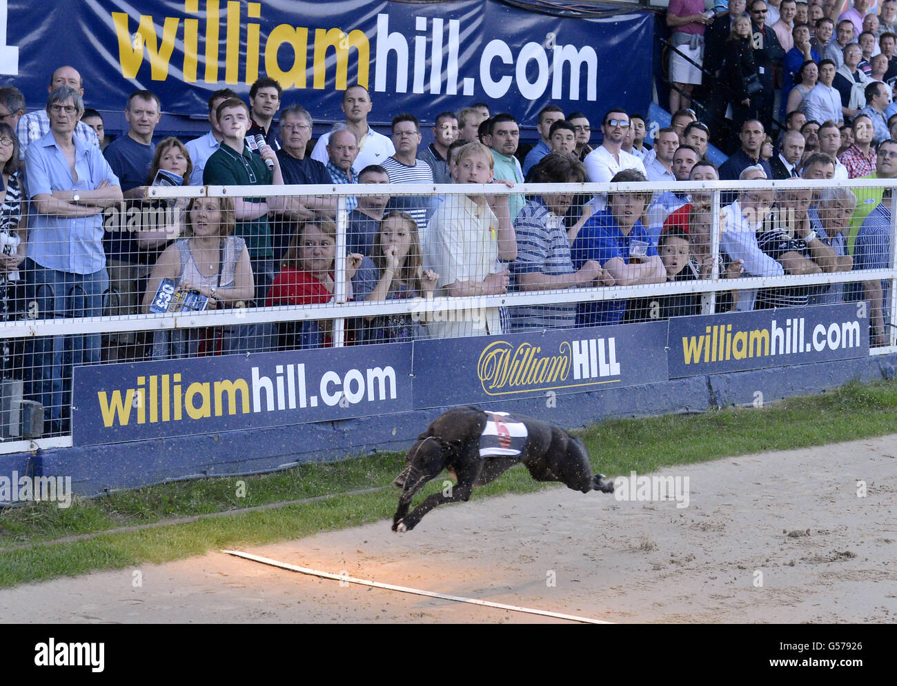 Greyhounds - Williamhill.com Greyhound Derby Final - Wimbledon ...