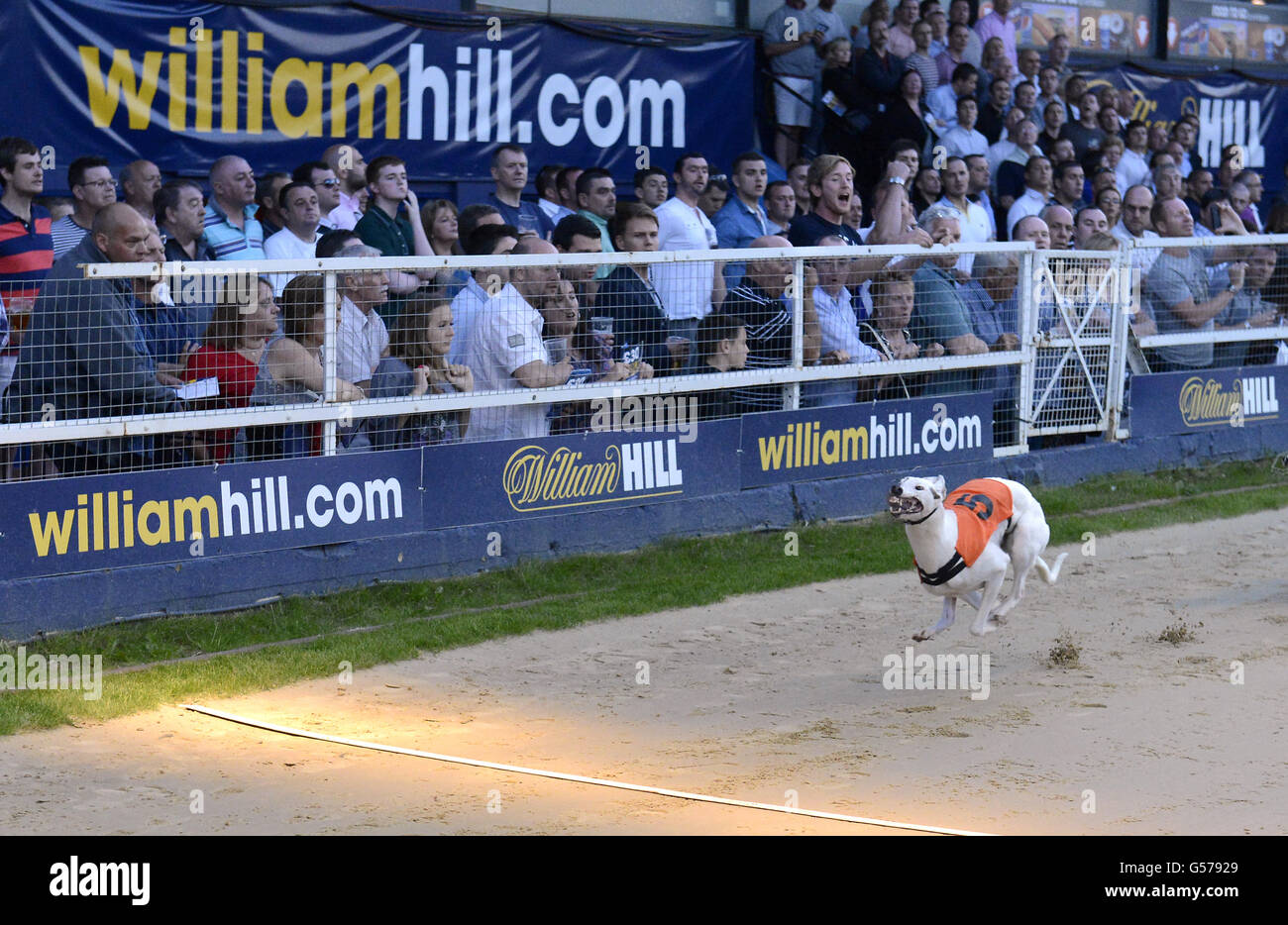 Racegoers cheers on a greyhound at wimbledon greyhound stadium hi-res ...