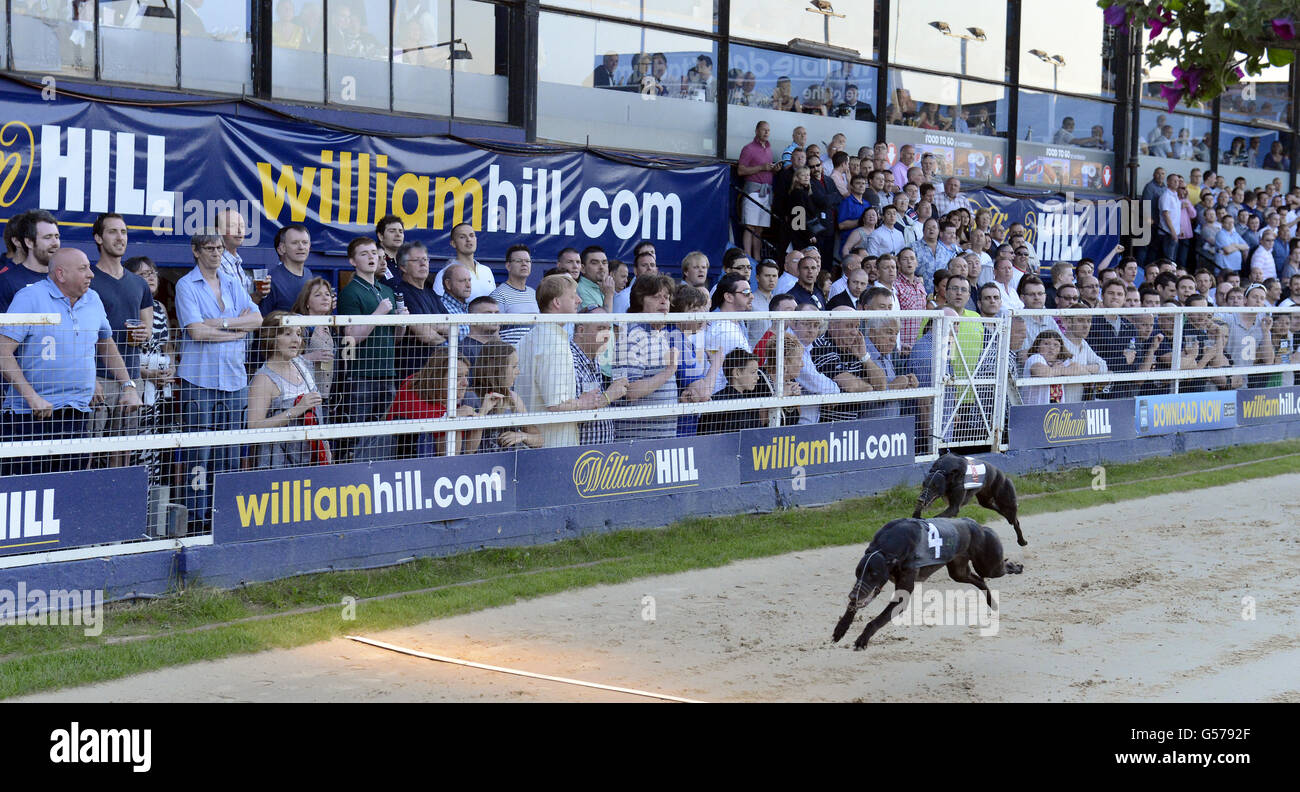 Greyhounds - Williamhill.com Greyhound Derby Final - Wimbledon ...